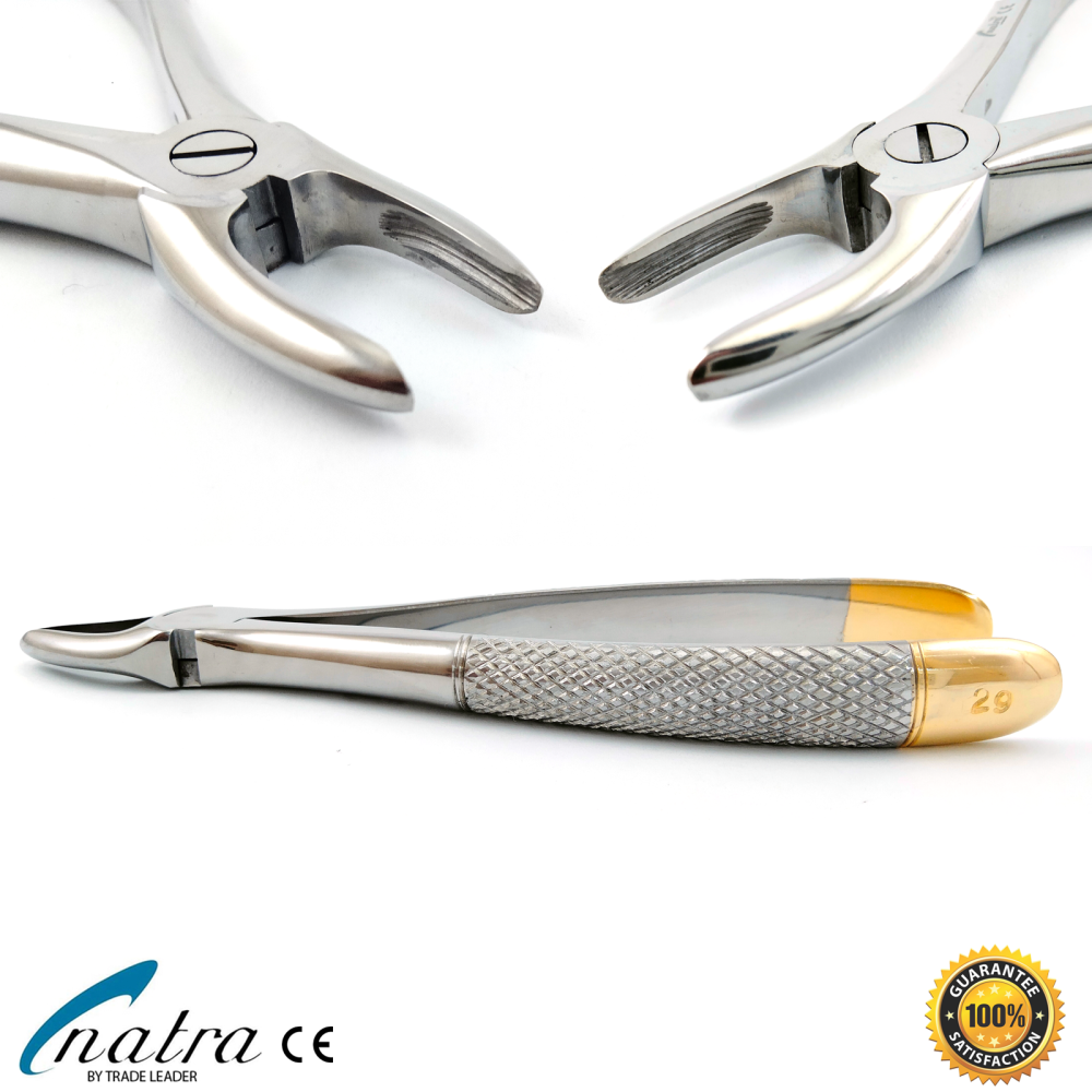 Extracting Forceps Nr. 29 Tooth Root Jaw Molars Dental Oral Extraction ...