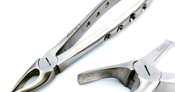 Extracting Forceps Nr. 1 Tooth Root Jaw Molars Dental Oral Extraction ...