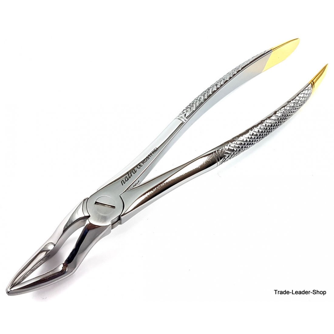 Extracting Forceps Nr. 51 Tooth Root Jaw Molars Dental Oral Extraction ...
